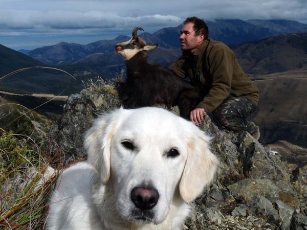 Guided Chamois Hunting in New Zealand | Canterbury Tahr Hunting Guide NZ