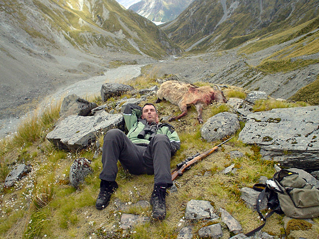 New Zealand Hunting Guide, Canterbury Tahr Hunting Services, Thar NZ