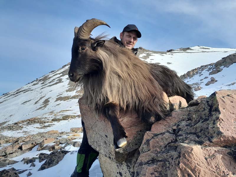 Guided Tahr Hunting in New Zealand, Thar Hunting NZ | Canterbury Tahr ...