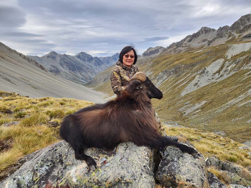 Guided Tahr Hunting in New Zealand, Thar Hunting NZ | Canterbury Tahr ...