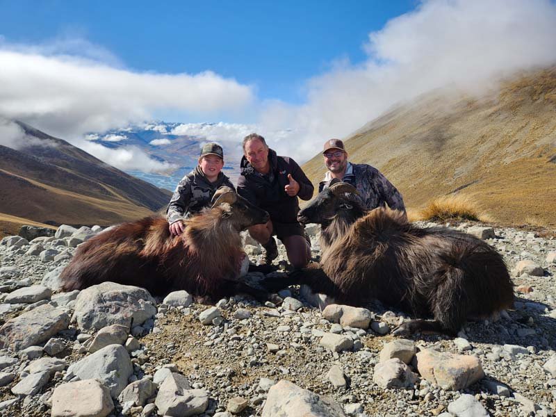 Guided Tahr Hunting in New Zealand, Thar Hunting NZ | Canterbury Tahr ...