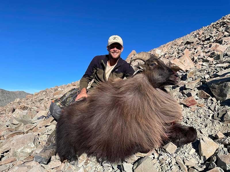 Guided Tahr Hunting in New Zealand, Thar Hunting NZ | Canterbury Tahr ...