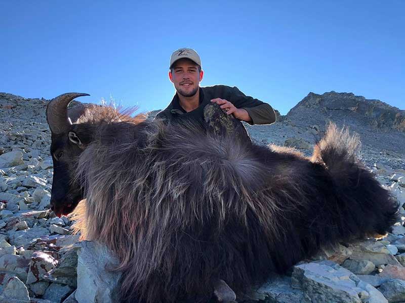 Guided Tahr Hunting in New Zealand, Thar Hunting NZ | Canterbury Tahr ...