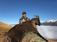 Guided Tahr Hunting in New Zealand, Thar Hunting NZ | Canterbury Tahr ...