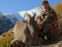 Guided Tahr Hunting in New Zealand, Thar Hunting NZ | Canterbury Tahr ...