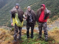 Guided Tahr Hunting in New Zealand, Thar Hunting NZ | Canterbury Tahr ...