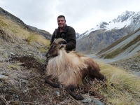 Guided Tahr Hunting in New Zealand, Thar Hunting NZ | Canterbury Tahr ...