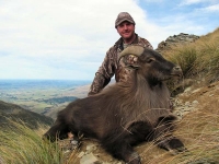 Guided Tahr Hunting in New Zealand, Thar Hunting NZ | Canterbury Tahr ...