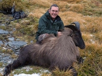 Guided Tahr Hunting in New Zealand, Thar Hunting NZ | Canterbury Tahr ...