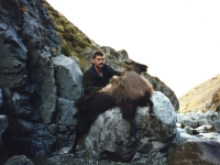 Guided Tahr Hunting in New Zealand, Thar Hunting NZ | Canterbury Tahr ...