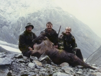 Guided Tahr Hunting in New Zealand, Thar Hunting NZ | Canterbury Tahr ...
