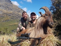 Guided Tahr Hunting in New Zealand, Thar Hunting NZ | Canterbury Tahr ...