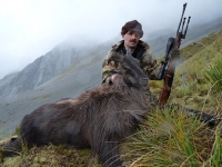 Guided Tahr Hunting in New Zealand, Thar Hunting NZ | Canterbury Tahr ...