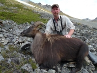 Guided Tahr Hunting in New Zealand, Thar Hunting NZ | Canterbury Tahr ...