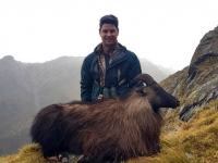 Guided Tahr Hunting in New Zealand, Thar Hunting NZ | Canterbury Tahr ...