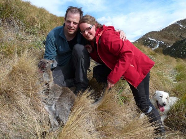 New Zealand Wild Game Hunting, Pigs, Wallabies, Wild Goats | Canterbury ...