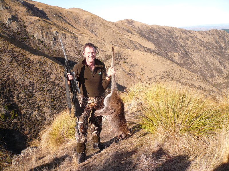 New Zealand Wild Game Hunting, Pigs, Wallabies, Wild Goats | Canterbury ...