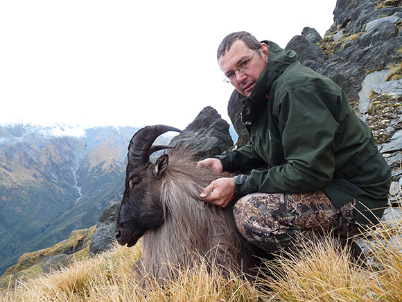 Guided Tahr Hunting in New Zealand, Thar Hunting NZ | Canterbury Tahr ...