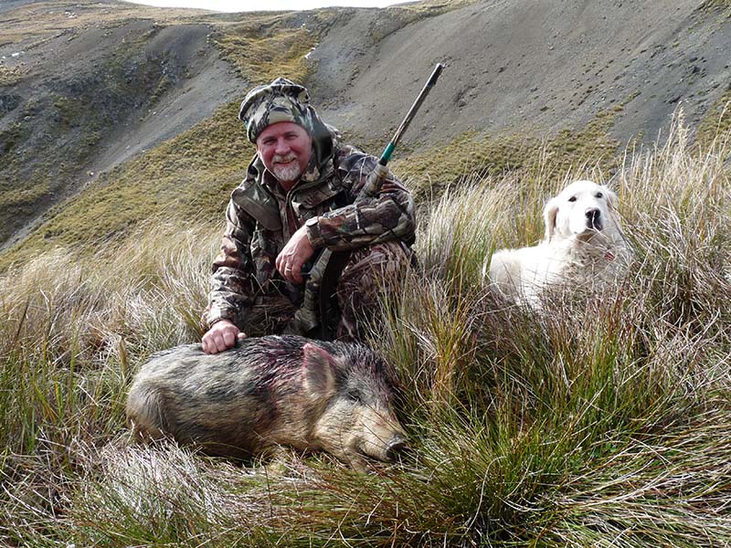 New Zealand Wild Game Hunting, Pigs, Wallabies, Wild Goats | Canterbury ...