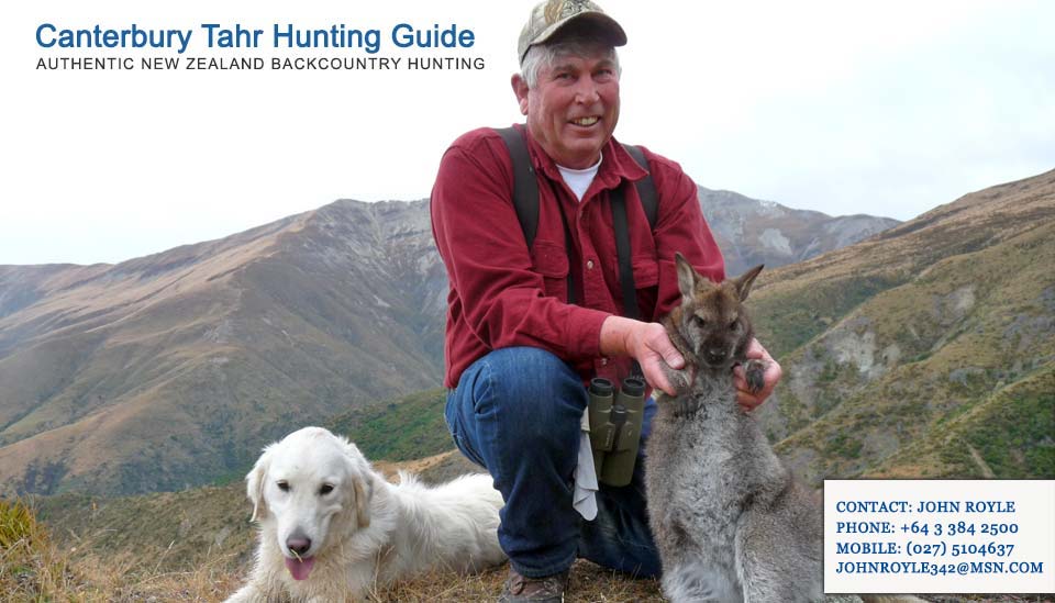 New Zealand Wild Game Hunting, Pigs, Wallabies, Wild Goats | Canterbury ...