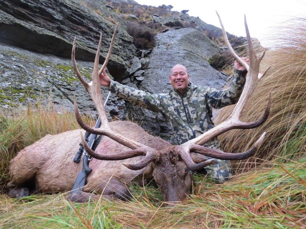 Private Land Red Stag and Elk Hunts | Canterbury Tahr Hunting Guide NZ