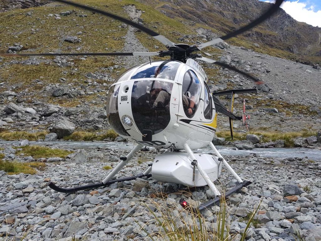 New Zealand Hunting Guide, Canterbury Tahr Hunting Services, Thar NZ