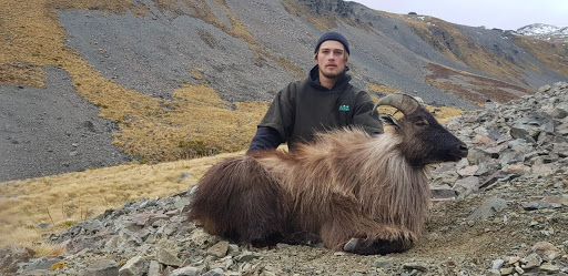 NZ Hunting Guide, John Royle, Hunting New Zealand | Canterbury Tahr ...